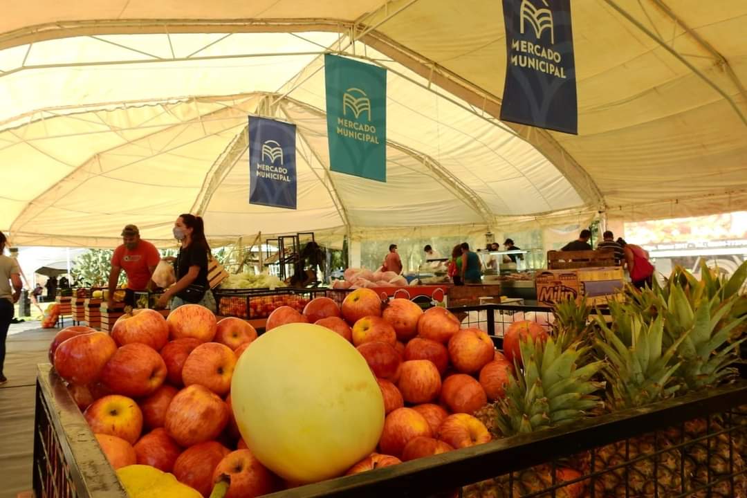 El Mercado Central en Santa Rosa | Mercado Central